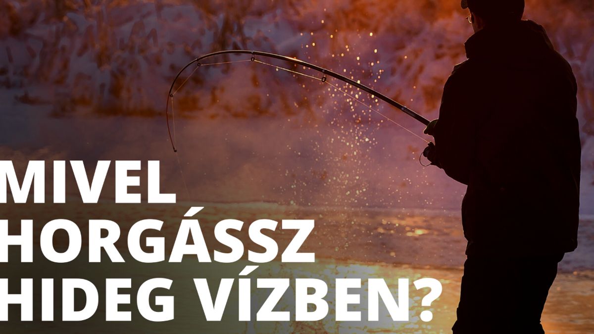Mivel horgássz hideg vízben? – Ellenállhatatlan hideg vízi aromák ...