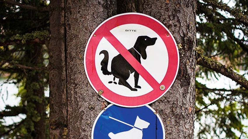 Leguggolnak a tengelyen - Szabad Föld